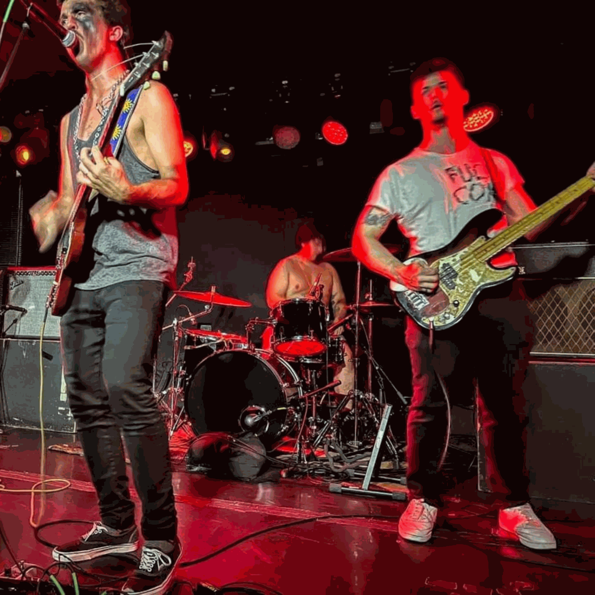 Home | Lost Dog Band